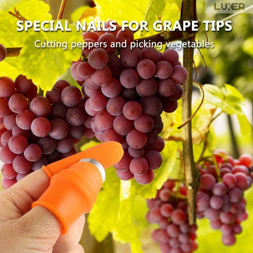 Degetar Cu Lama Pentru Cules Fructe/Legume sau Gradinarit Pentru ...