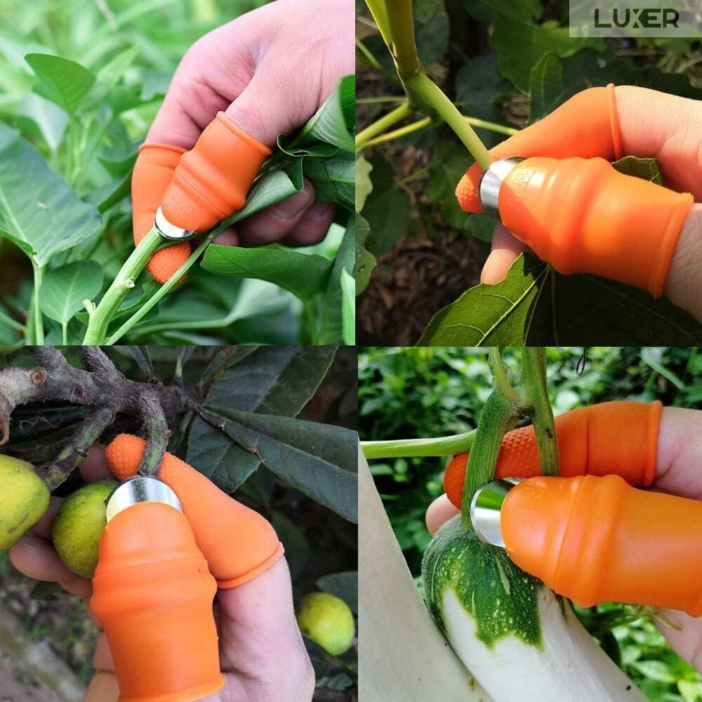 Degetar Cu Lama Pentru Cules Fructe/Legume sau Gradinarit Pentru ...