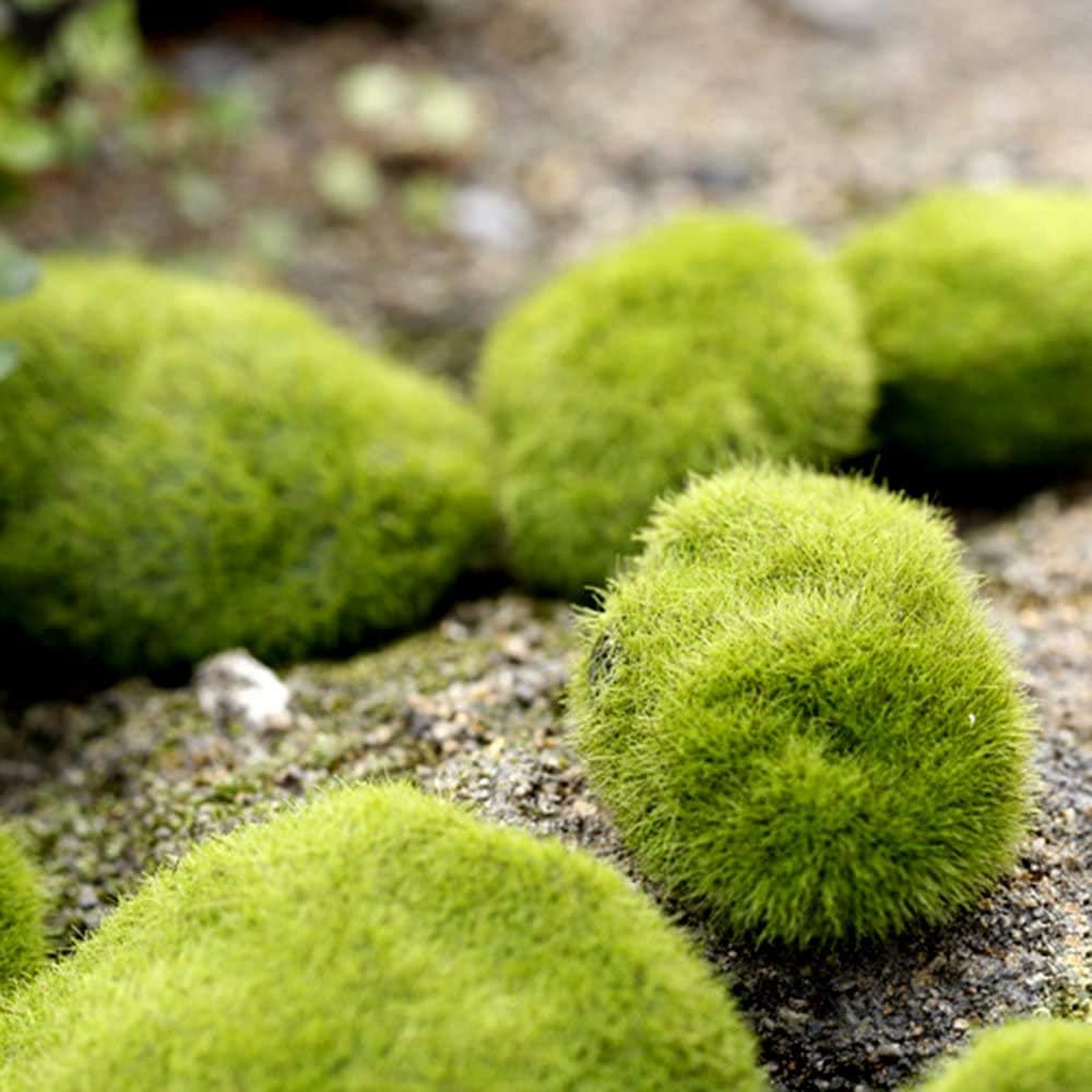 Set 2 Ornamente pietre de muschi de iarba artificiala, Verde - eMAG.ro