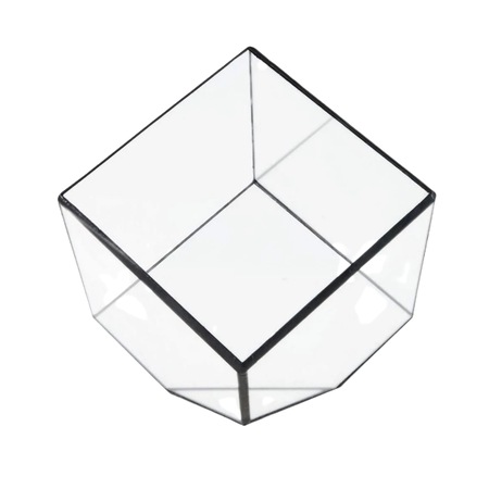 Ghiveci decorativ pentru plante Asvert, sticla, transparent, 15 x 15 x ...