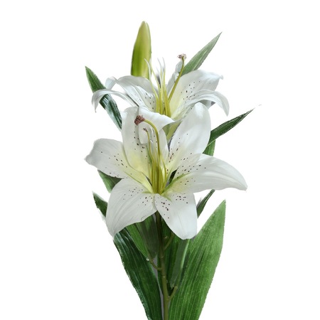 Crin artificial crem - 78 cm - eMAG.ro