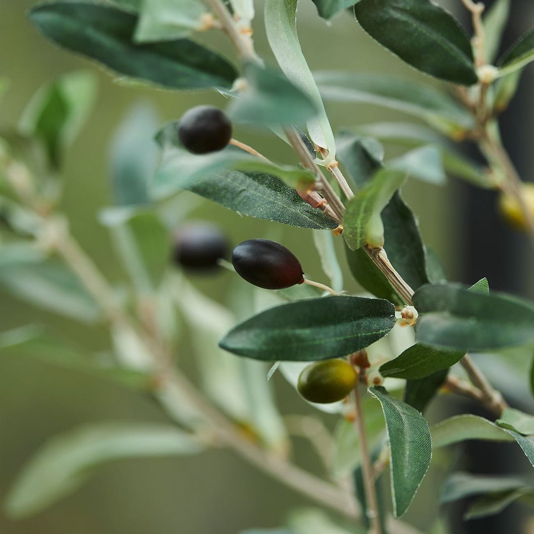 Maslin artificial in ghiveci - 65 cm - eMAG.ro