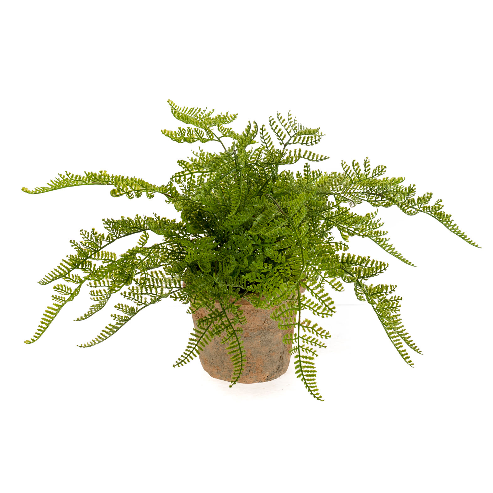 Feriga artificiala decorativa - 40 cm - eMAG.ro