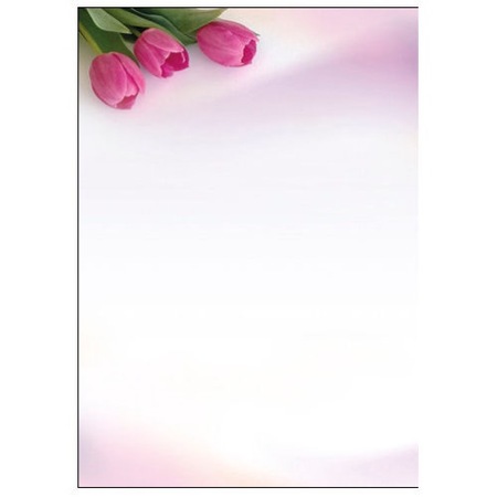 Set 50 de buc de Foi colorate, A4, 100g FANFAN - eMAG.ro