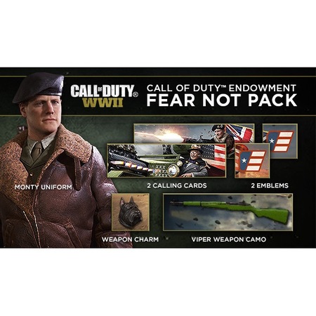 Joc, WWII, Activision, Call of Duty: WWII - Call of Duty Endowment Fear ...