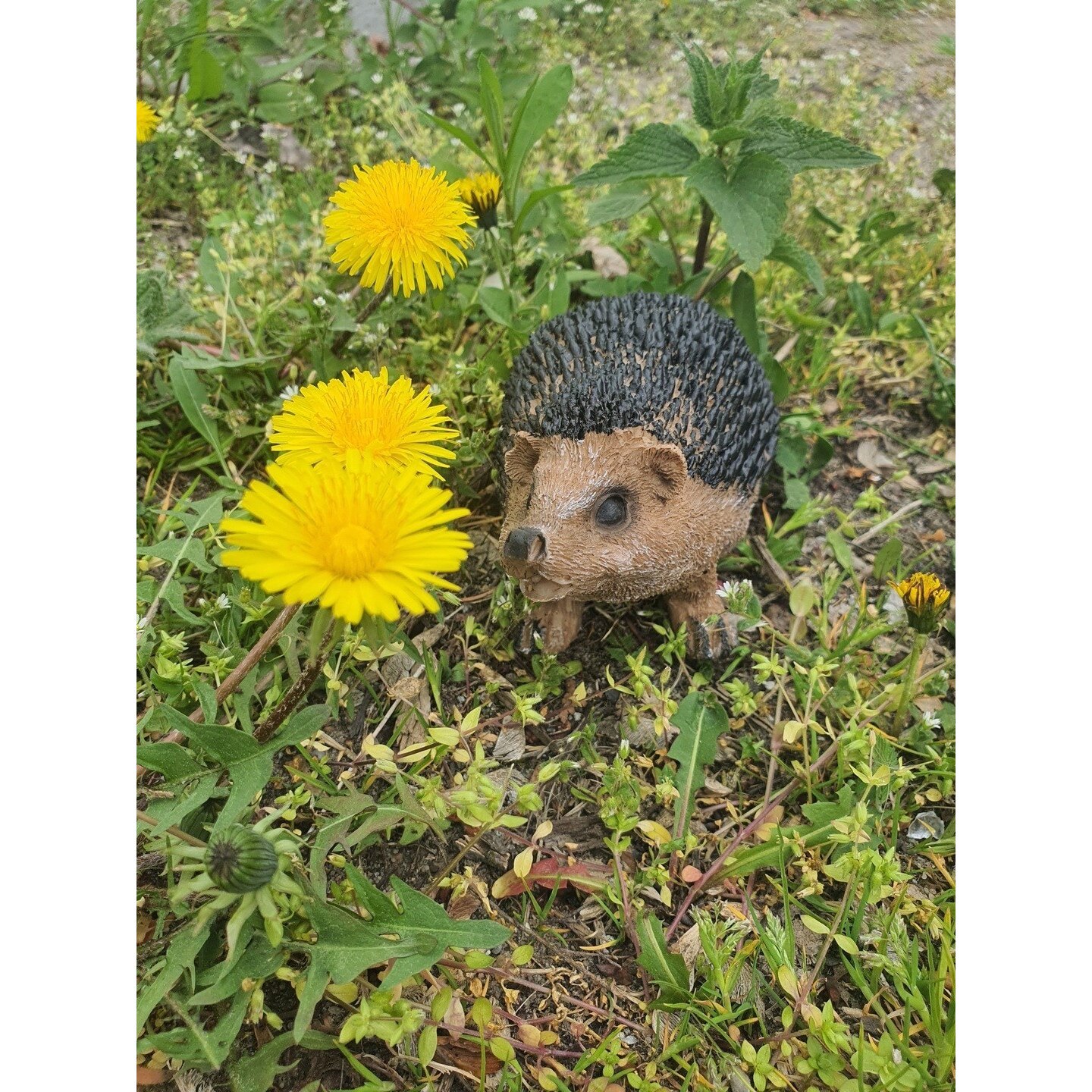 Figurina gradina, 14.5 cm, Maro - eMAG.ro