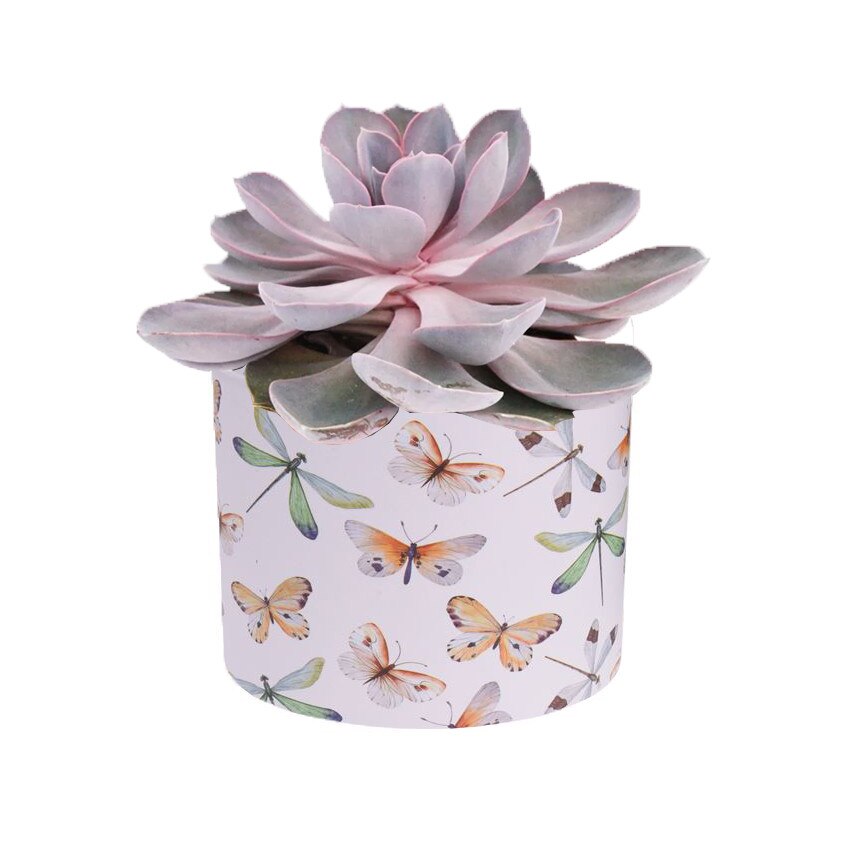 Ghiveci decorativ ceramic, Azay Design, alb cu modele asortate cu ...