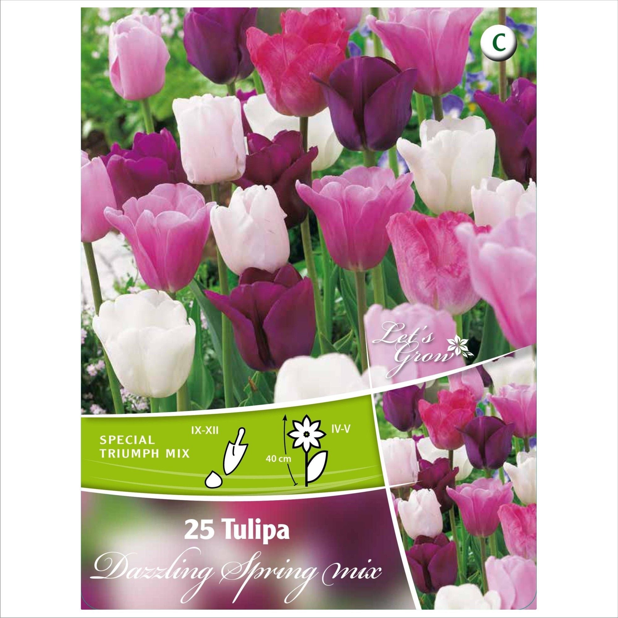 Bulbi lalea Dazzling Spring Mix, mix culori, 25 buc - eMAG.ro