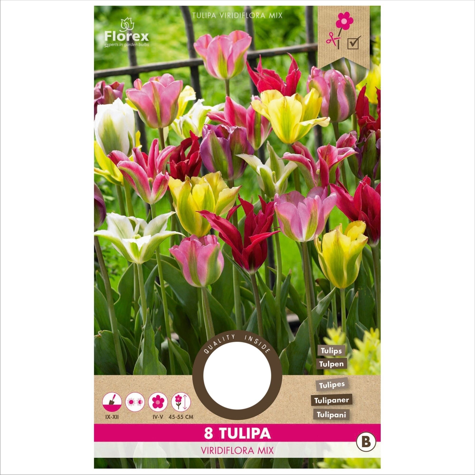 Bulbi lalea Viridiflora Mix, mix culori, 8 buc - eMAG.ro