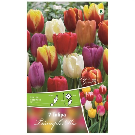 Bulbi lalea Triumph Mix, mix culori, 7 buc - eMAG.ro