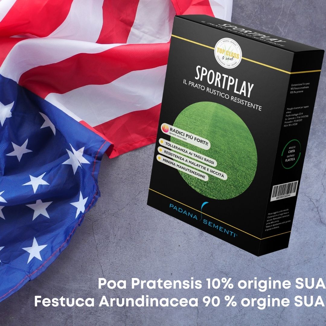 Seminte de gazon profesionale Padana© SportPlay, 1 kg, verde inchis ...