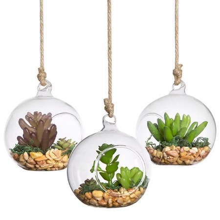 Glob sticla decorativ pentru plante suculente, transparent, cu ...