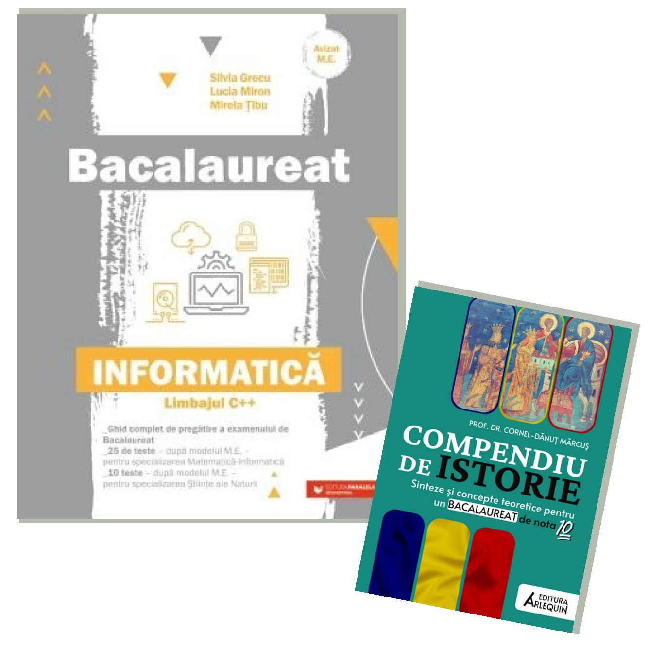 Bacalaureat. Informatica. Limbajul C++ - Silvia Grecu + Compendiu de ... Bacalaureat. Informatica. Limbajul C++ - Silvia Grecu + Compendiu de ...