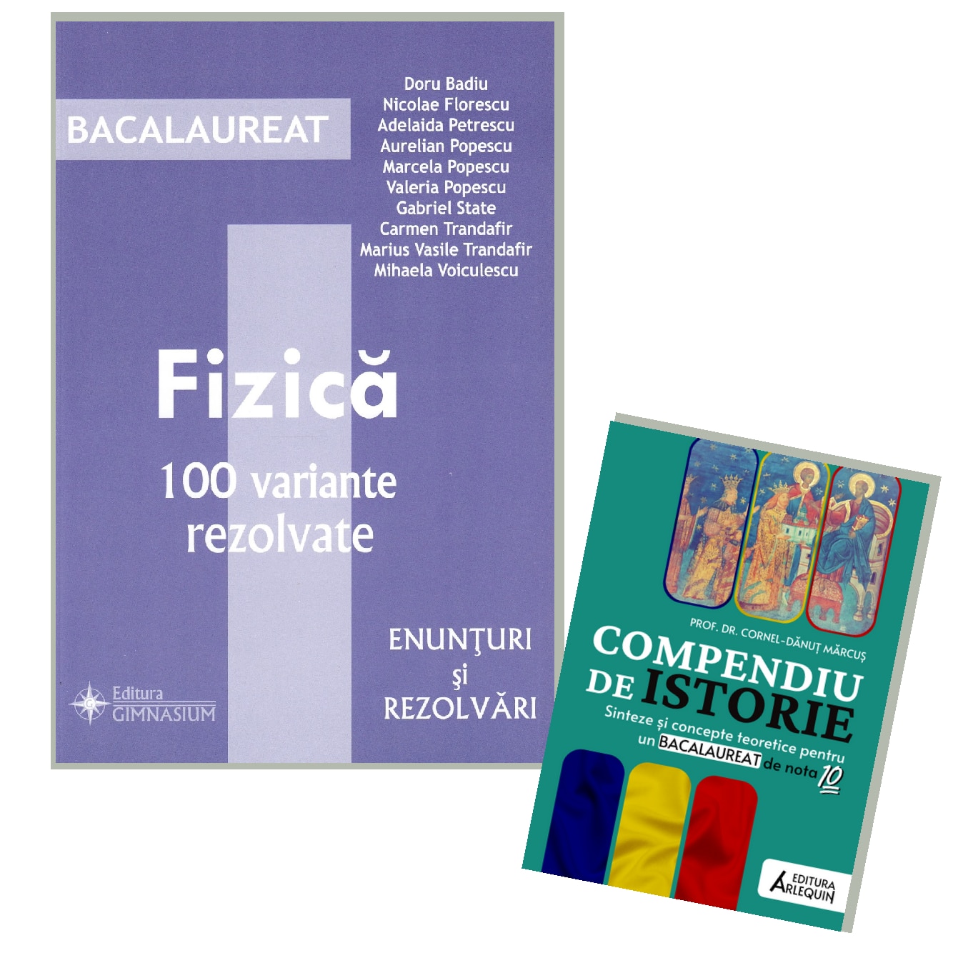 Fizica Bacalaureat - 100 variante rezolvate (Enunturi si rezolvari ...