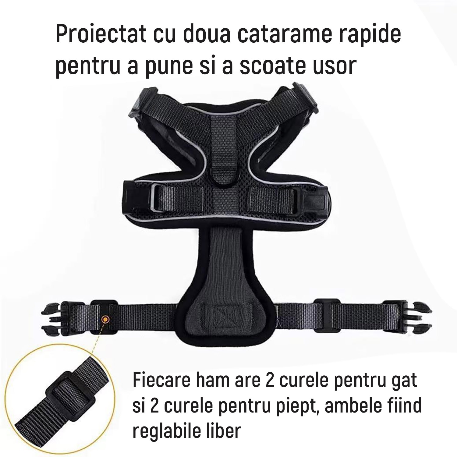 Set lesa Pisici cu Ham Reglabil si Detasabil, sundiguer, Rezistent cu ...