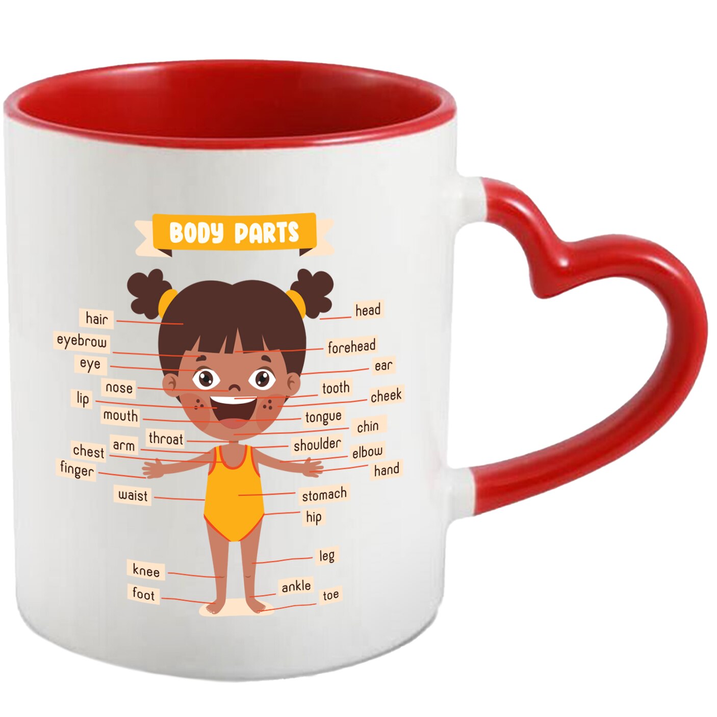 Cana Cu Mesaj In Engleza Body Parts, Parti Ale Corpului, Anatomie ...