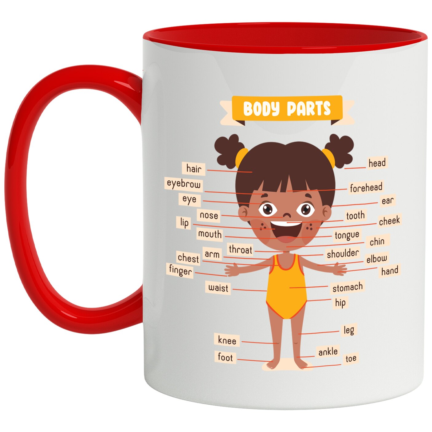 Cana Cu Mesaj In Engleza Body Parts, Parti Ale Corpului, Anatomie ...
