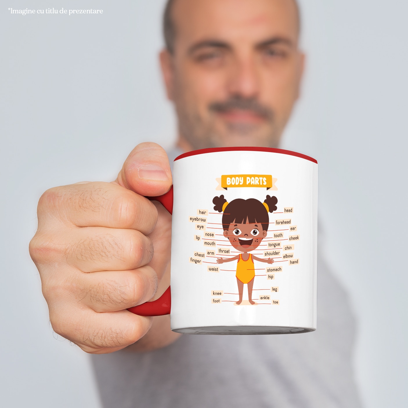 Cana Cu Mesaj In Engleza Body Parts, Parti Ale Corpului, Anatomie ...