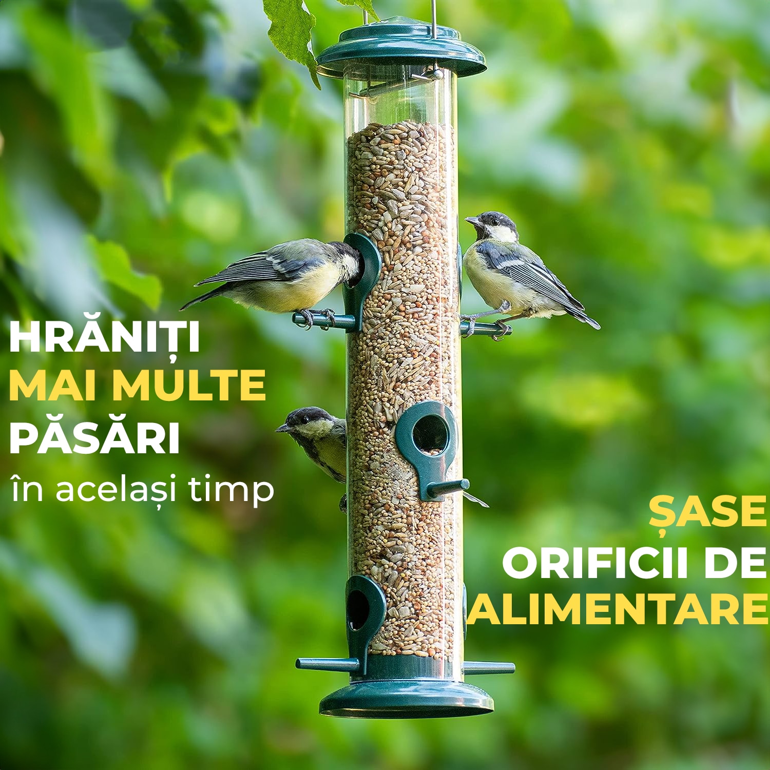 Hranitor exterior pentru pasari, rezistent la vant si ploaie, din metal ...