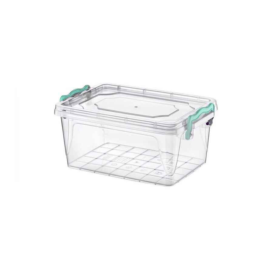 Set 6 cutii pentru depozitare, plastic transparent, cu capac si manere ...