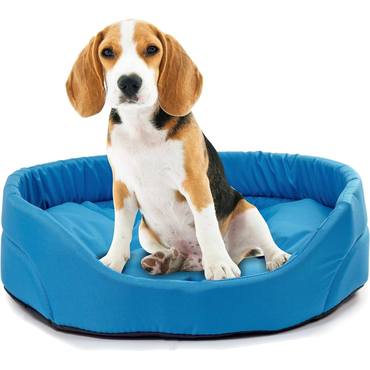 Pat pentru caini si pisici, XL 71 x 60 x 15 cm, albastru, rezistent la ...