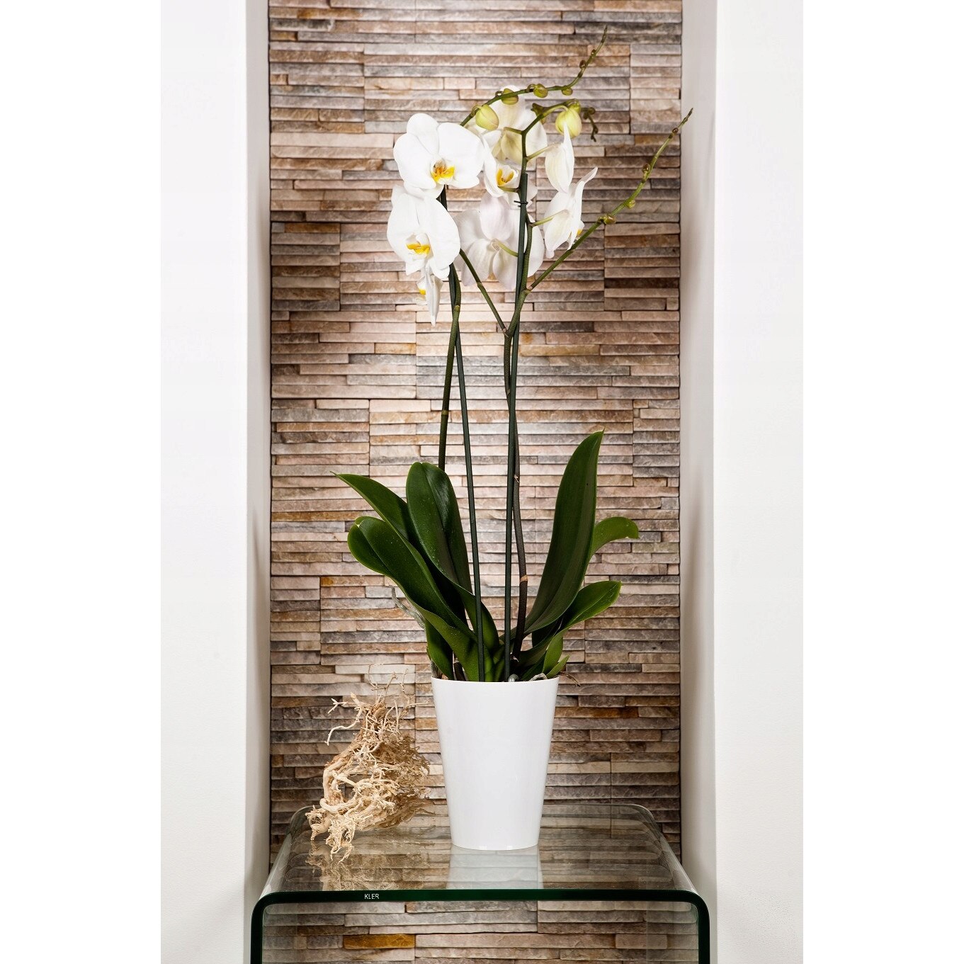 Ghiveci orhidee, KADAX, Cerda, Alb, 13 cm - eMAG.ro