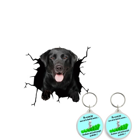 Set sticker decorativ 3d caine model 8, autocolant, 41 cm si 2 ...