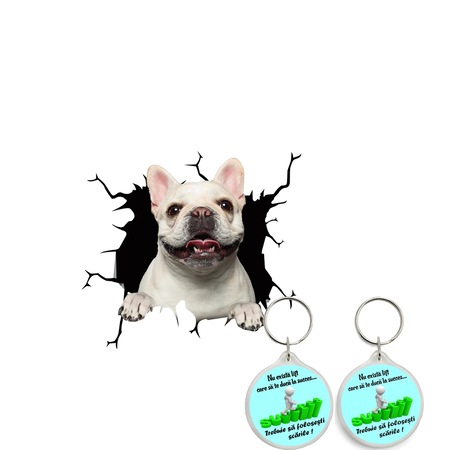 Set sticker decorativ 3d caine model 13, autocolant, 41 cm si 2 ...