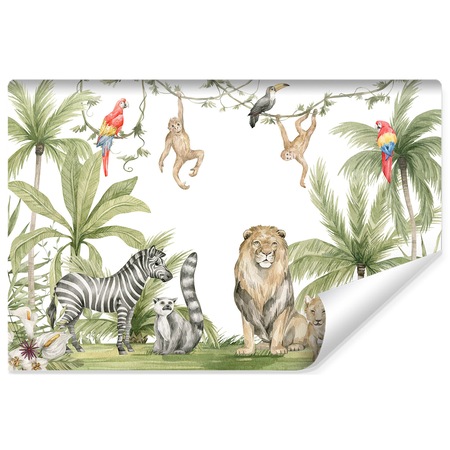 Fototapet Animale colorate, leu, maimuta, papagal, zebra 360 cm x 240 ...