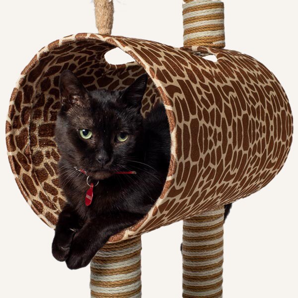 Комплект жирафи за котки Sarsaila 50x35x105 см - eMAG.bg