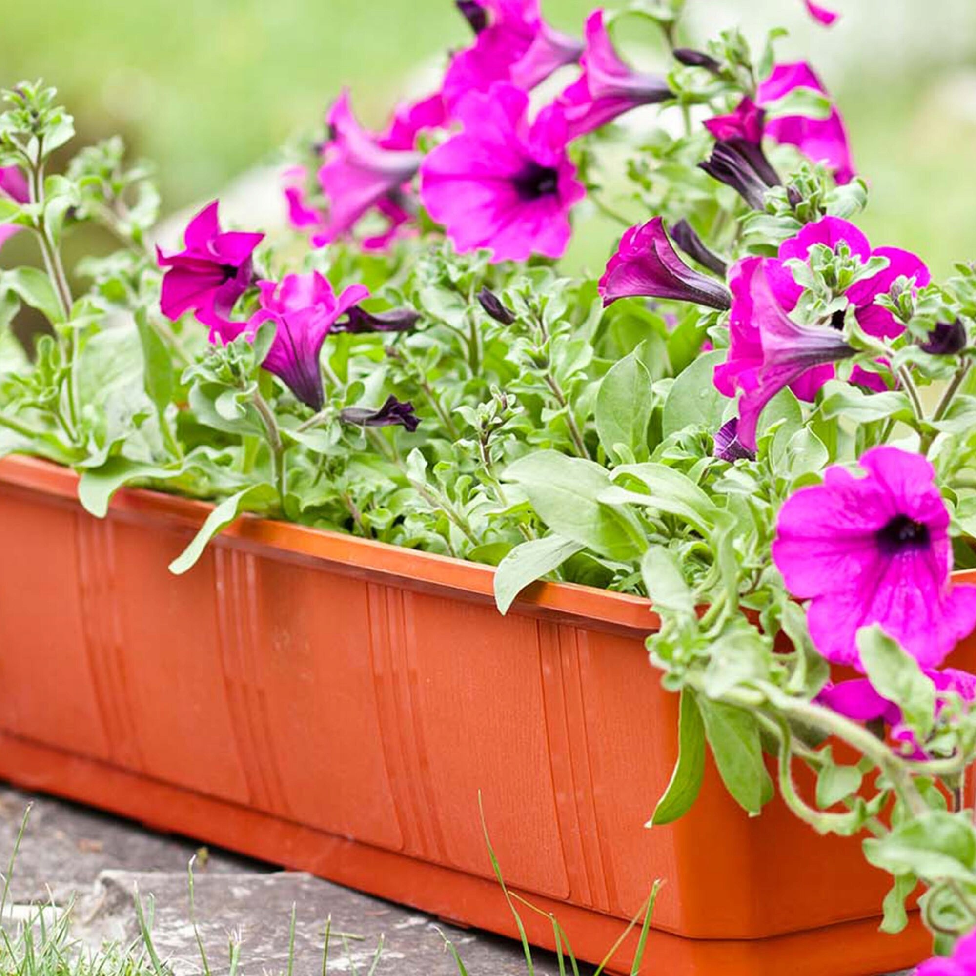 Ghiveci balcon, Kadax, Plastic, Teracota, 60 x 17 x 15 cm - eMAG.ro