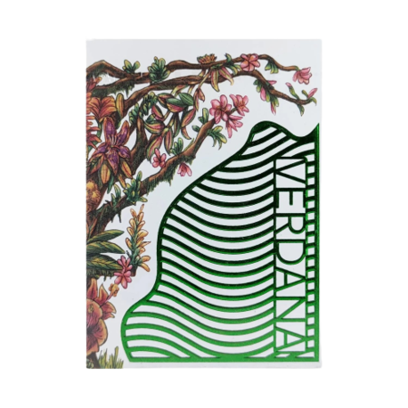 Carti de joc premium Verdana by Curio Playing Cards - eMAG.ro