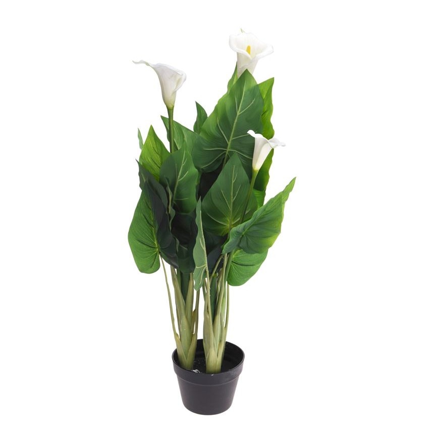 Planta Artificiala Calla, Azay Design, frunze verzi si flori able ...