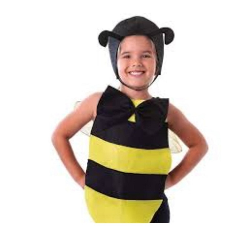 Costum albina pentru copii, cu aripi si caciula cu antene, 3-4 ani, 98 ...