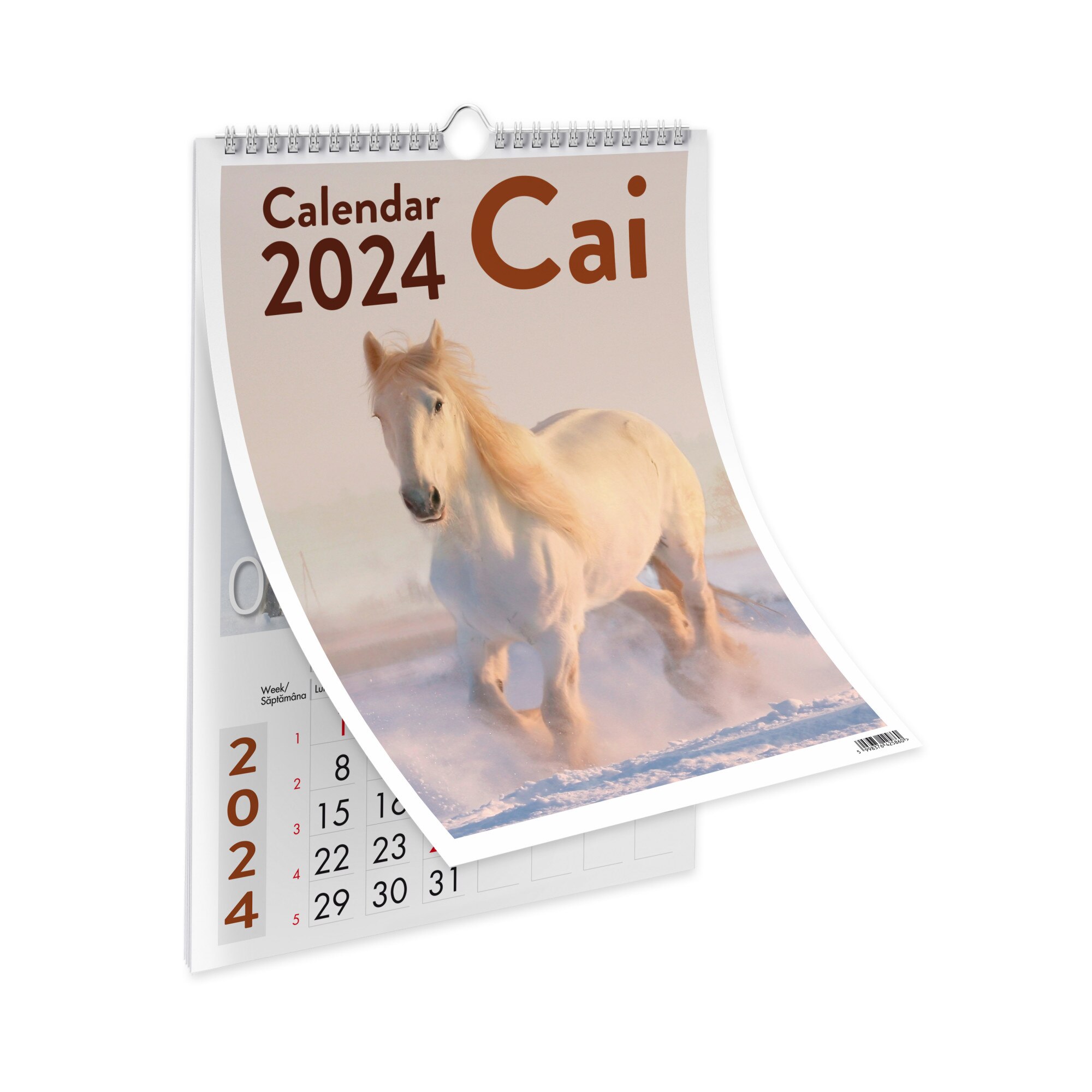 Calendar 2024 Cai, 13 file carton lucios, 22x32 cm - eMAG.ro