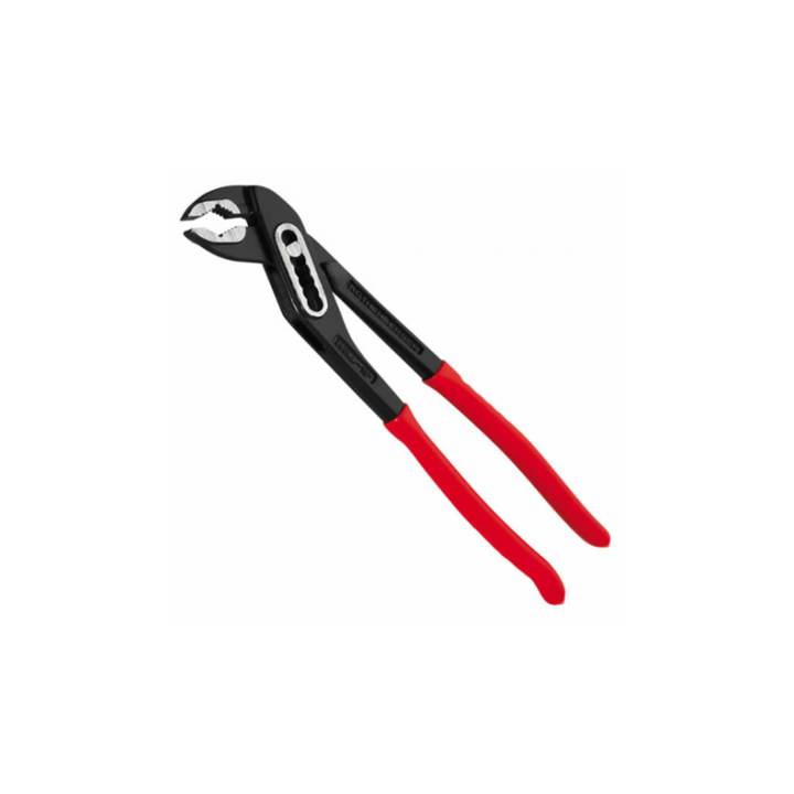 Cleste papagal 10 inch - eMAG.ro