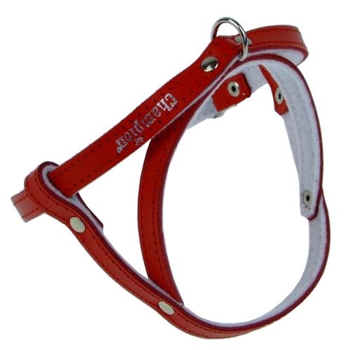 Hamuri, Champion, 50cm, rosu - eMAG.ro