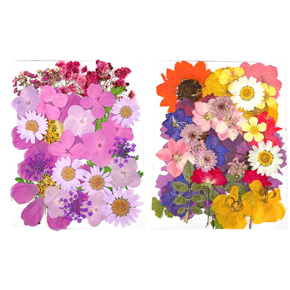 Set 2 pachete cu flori presate, JeiibrZui, Multicolor - eMAG.ro