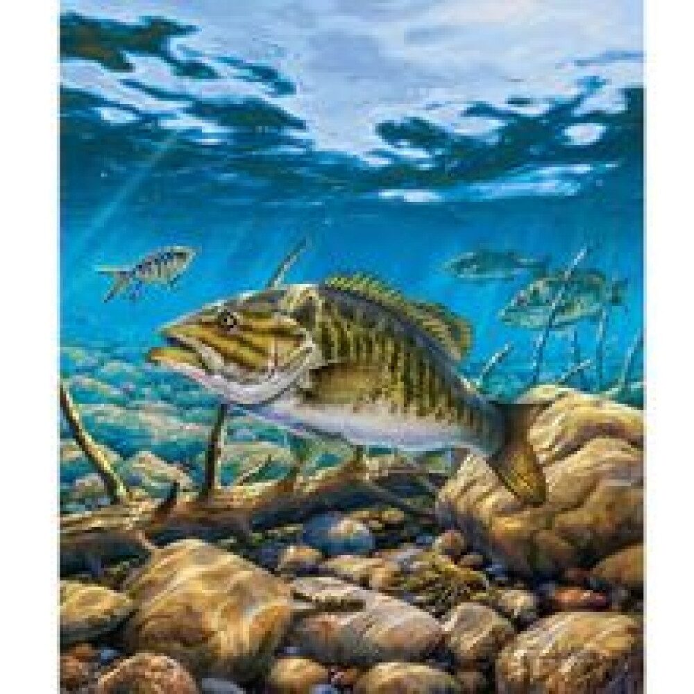 Kit pictura pe numere cu pesti, 40x50cm, PPT3380 - eMAG.ro
