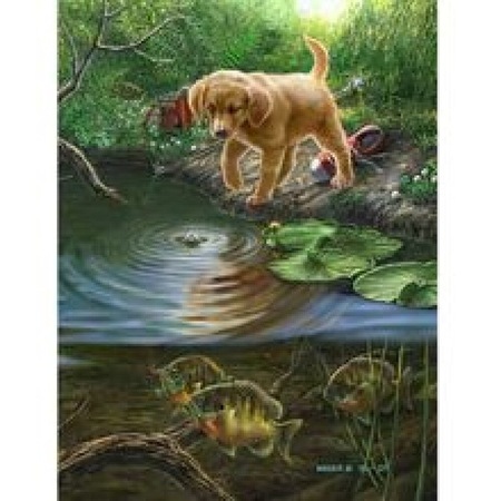 Kit pictura pe numere cu animale, 40x50cm, PPT3389 - eMAG.ro