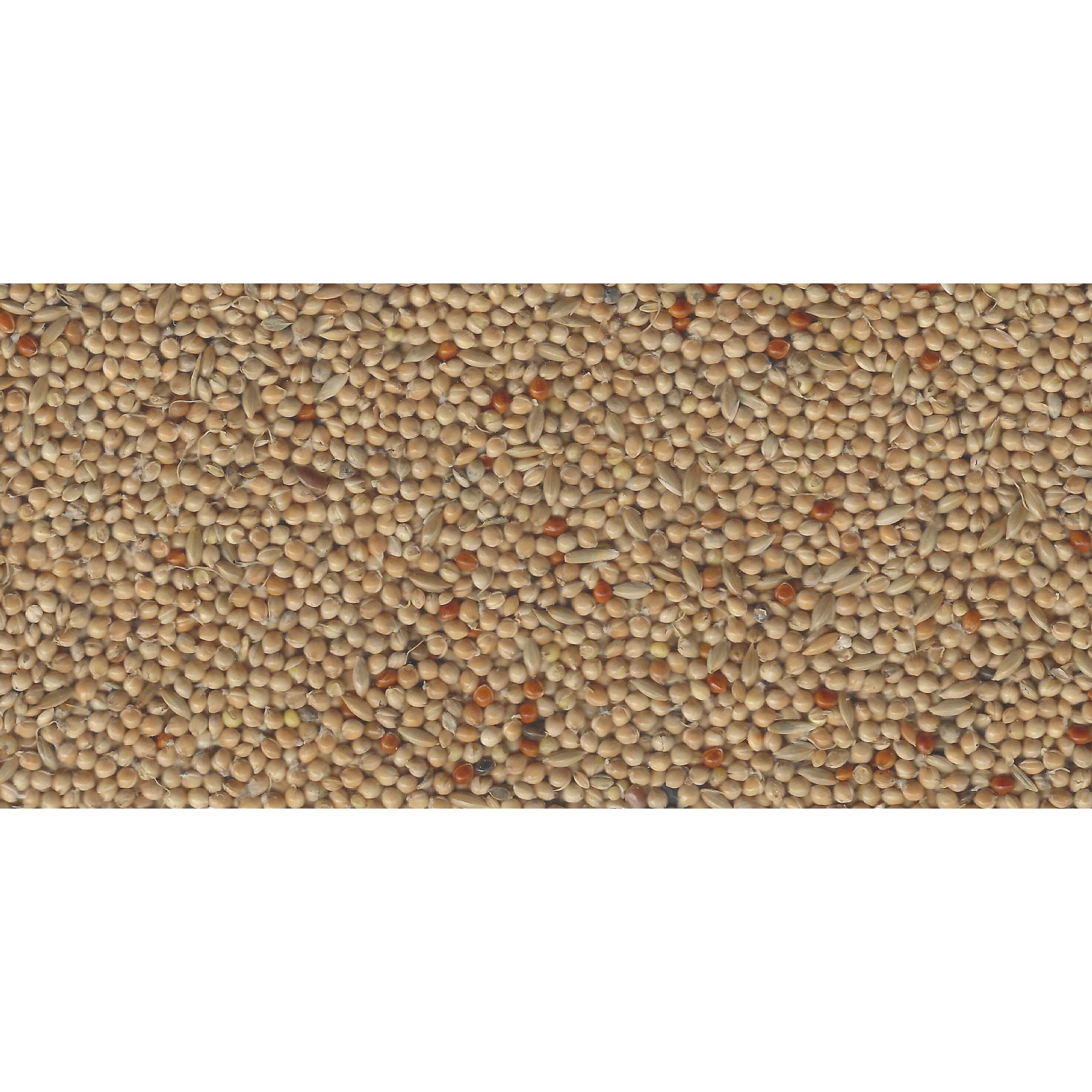 Seminte germinate, pasari exotice, Germix Esotici,1kg - eMAG.ro