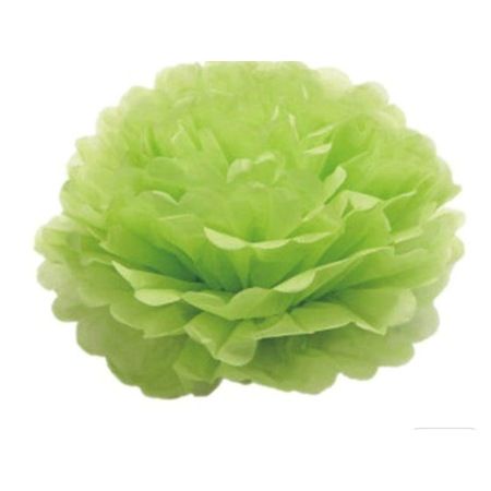 Pampon hartie 40 cm Verde fistic - eMAG.ro