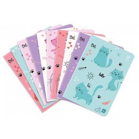 Set 10 caiete dictando, Elanders, 32 pagini, A5, Multicolor - eMAG.ro