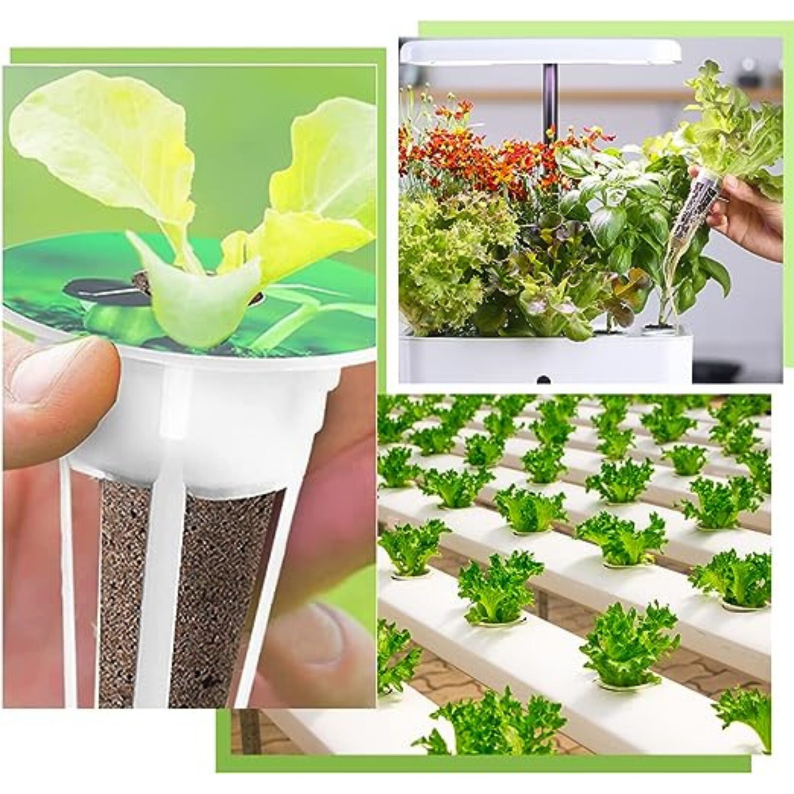 Set 30 ghivece pentru rasaduri din plastic - eMAG.ro