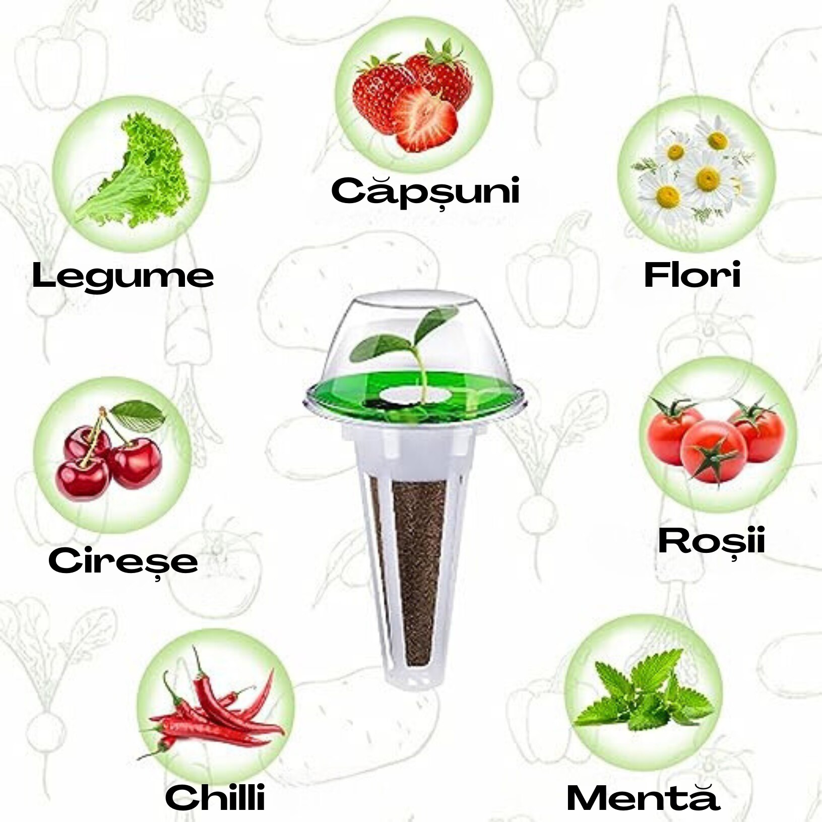 Set 30 ghivece pentru rasaduri din plastic - eMAG.ro