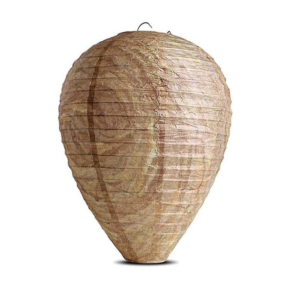 Set 2 capcane pentru viespi, Sunmostar, Maro - eMAG.ro