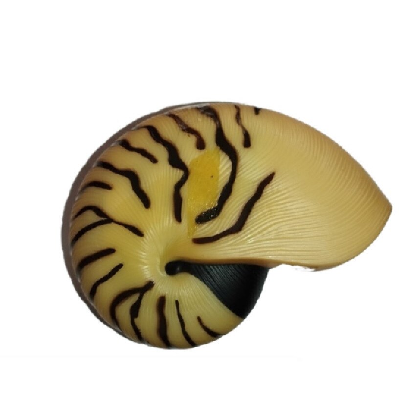 4D пъзел, Пъзел Northern Diver Medium Fish, модел Cow Fish, 20 части ...