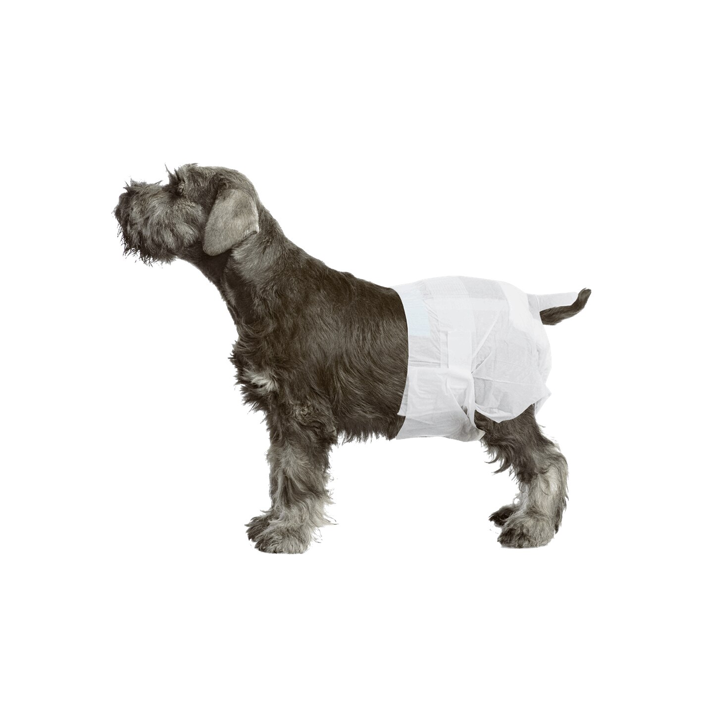 Set 12 scutece pentru caini, Pawise, S pana la 3.6 kg - eMAG.ro