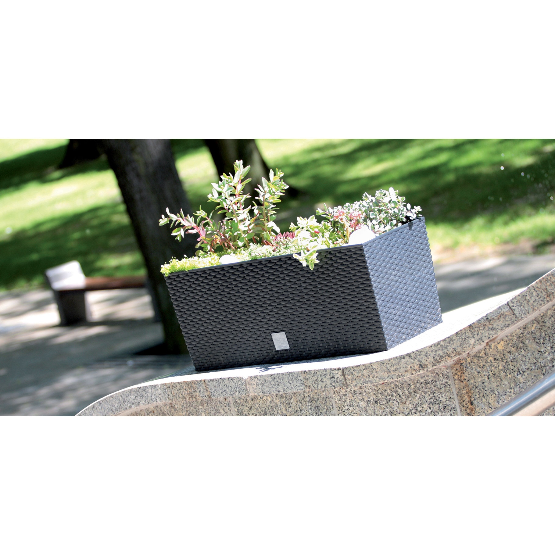 Set 2 ghivece de flori, Prosperplast, Plastic, 185 mm, Antracit - eMAG.ro