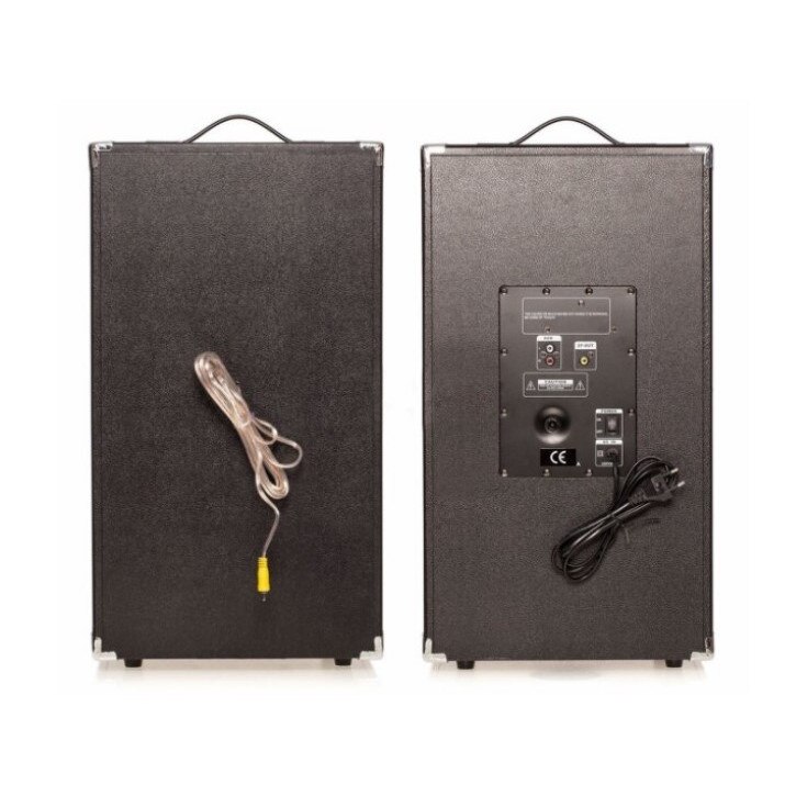 Set 2 boxe Audio Profesionale Original Temeisheng 284A, Functie ...